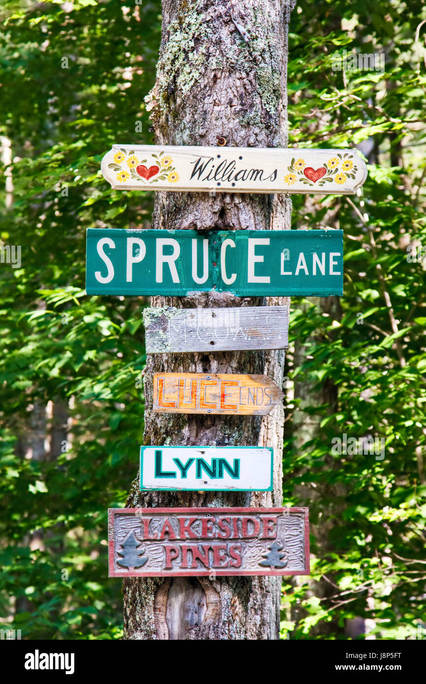 tree, sign, road, street, tree, trees, wood, country, sign, road ...