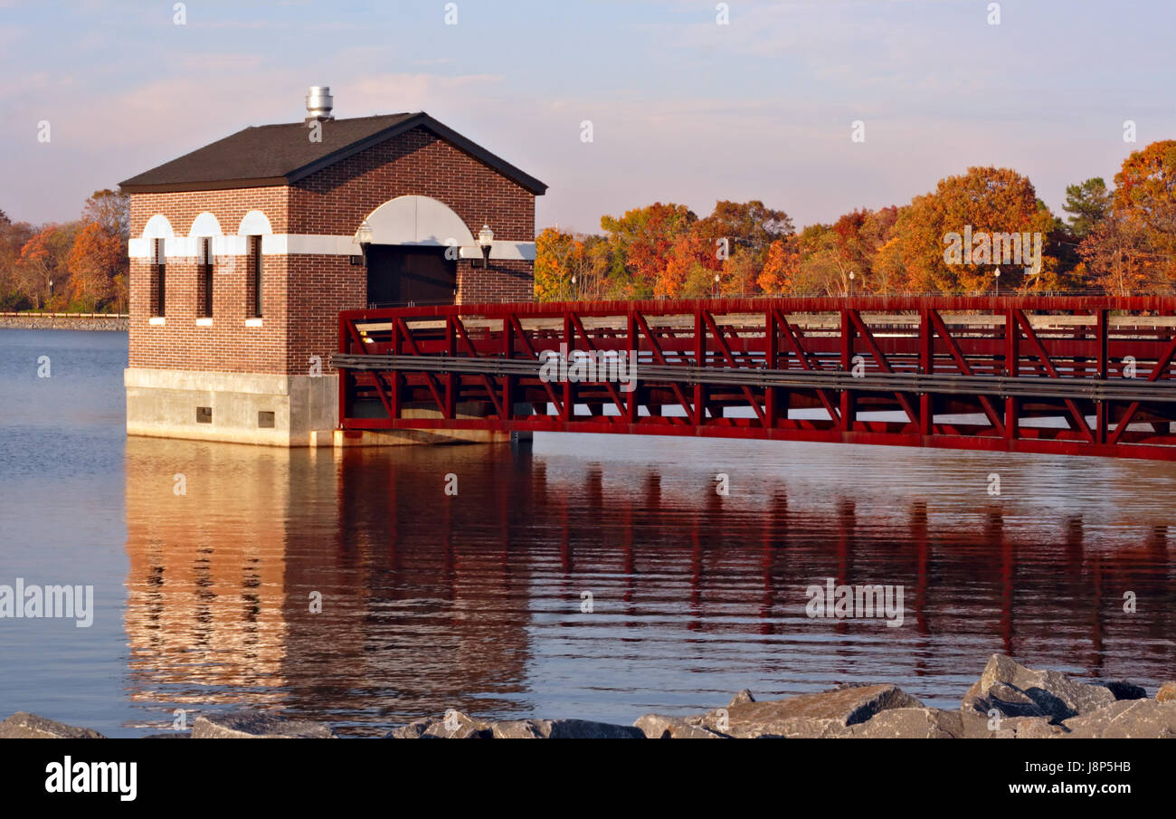 leaf, leaves, reflection, reflections, reservoir, fresh water, lake ...