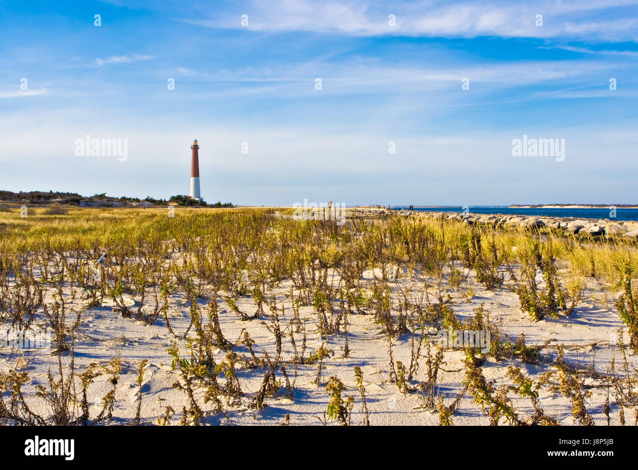 beach, seaside, the beach, seashore, landscape, scenery, countryside ...