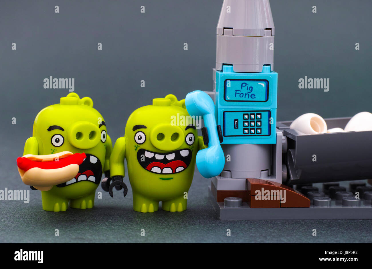 Real Life Angry Birds Pigs