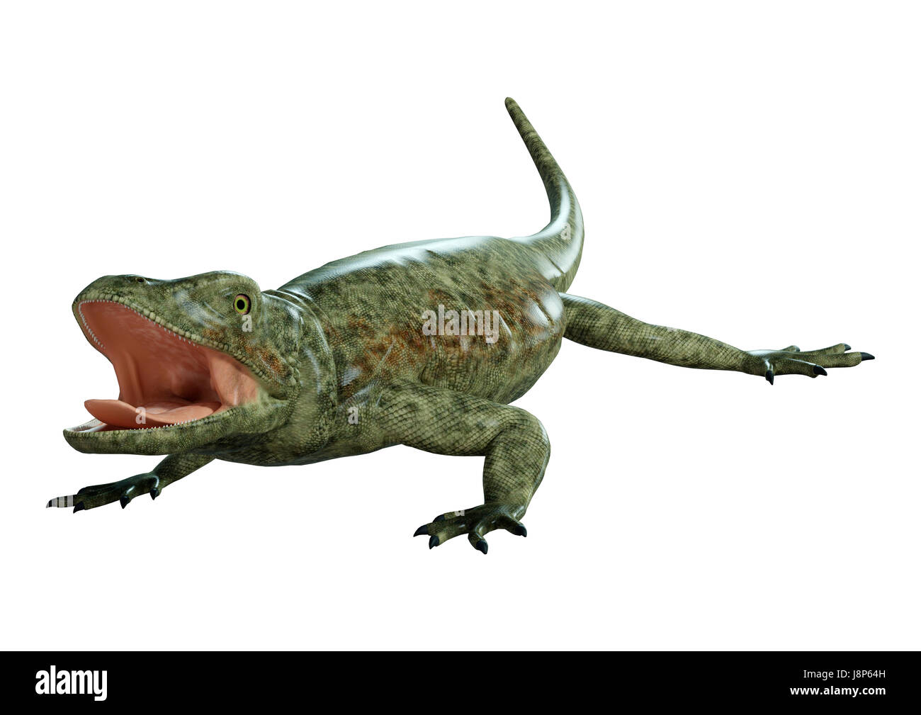 3D rendering of a large lizard chuckwalla isolated on white background ...