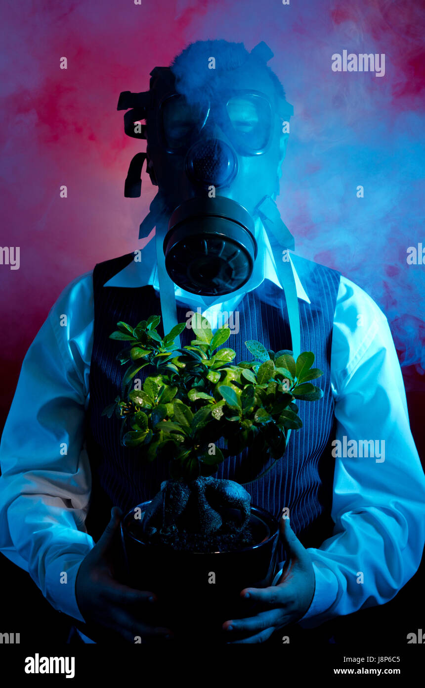 blue, leaf, eco, environment, enviroment, colour, model, design ...