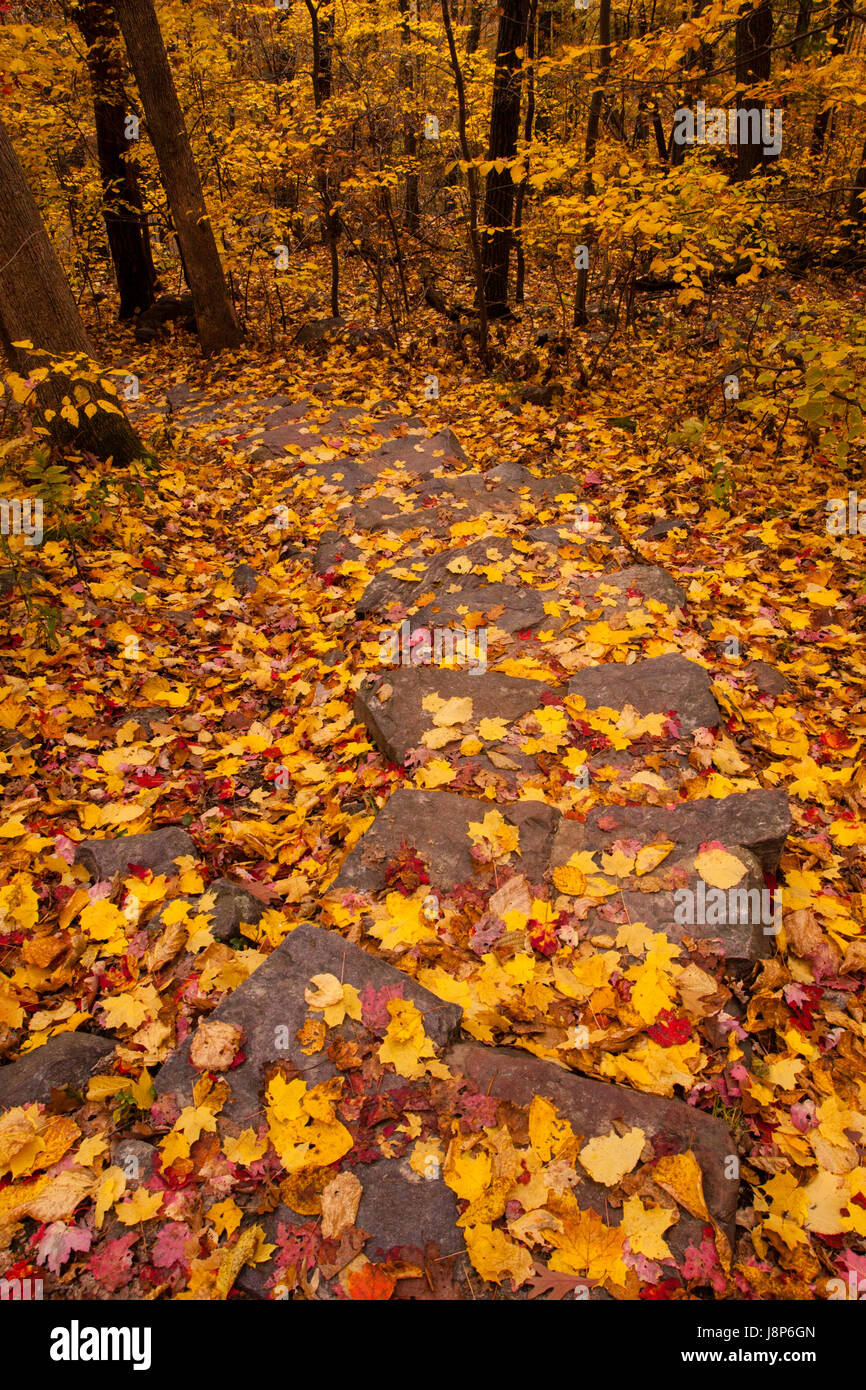 Natural Stone Stairway at Devil's Lake State Park in Wisconsin Stock ...