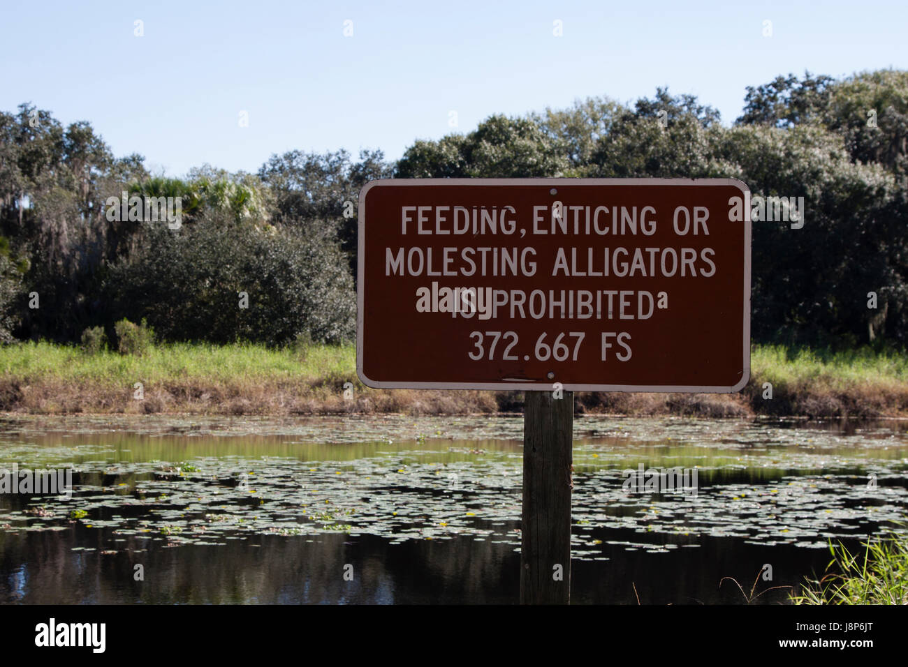 Alligator warning sign everglades florida hi-res stock photography and ...