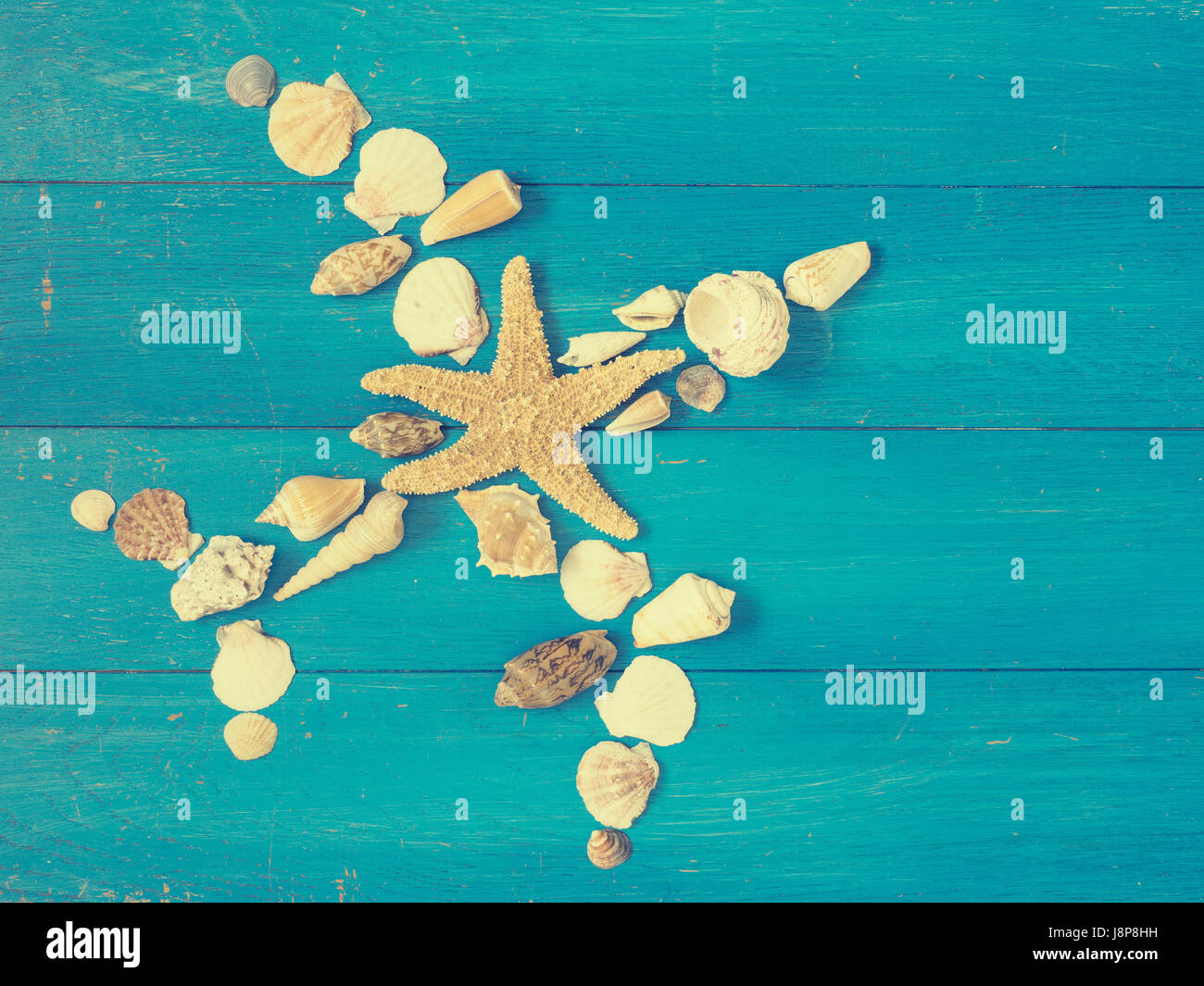 Shape of an airplane of seashells and a starfish, travel or vacation ...