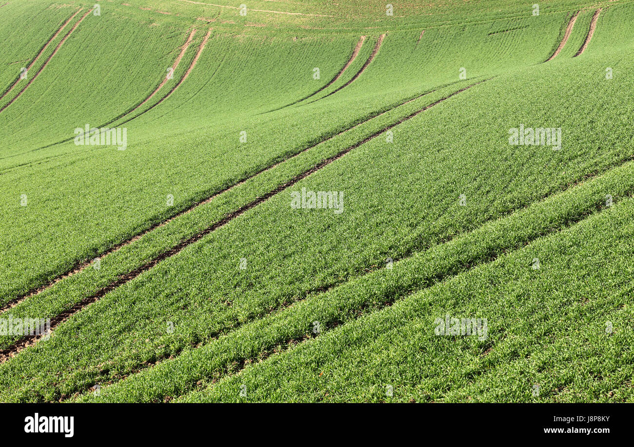 field lines iv Stock Photo - Alamy