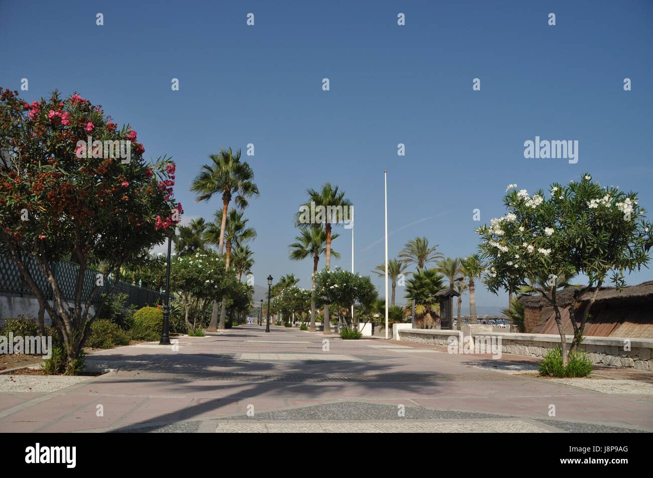 beach, seaside, the beach, seashore, spain, sidewalk, palm, walkway ...