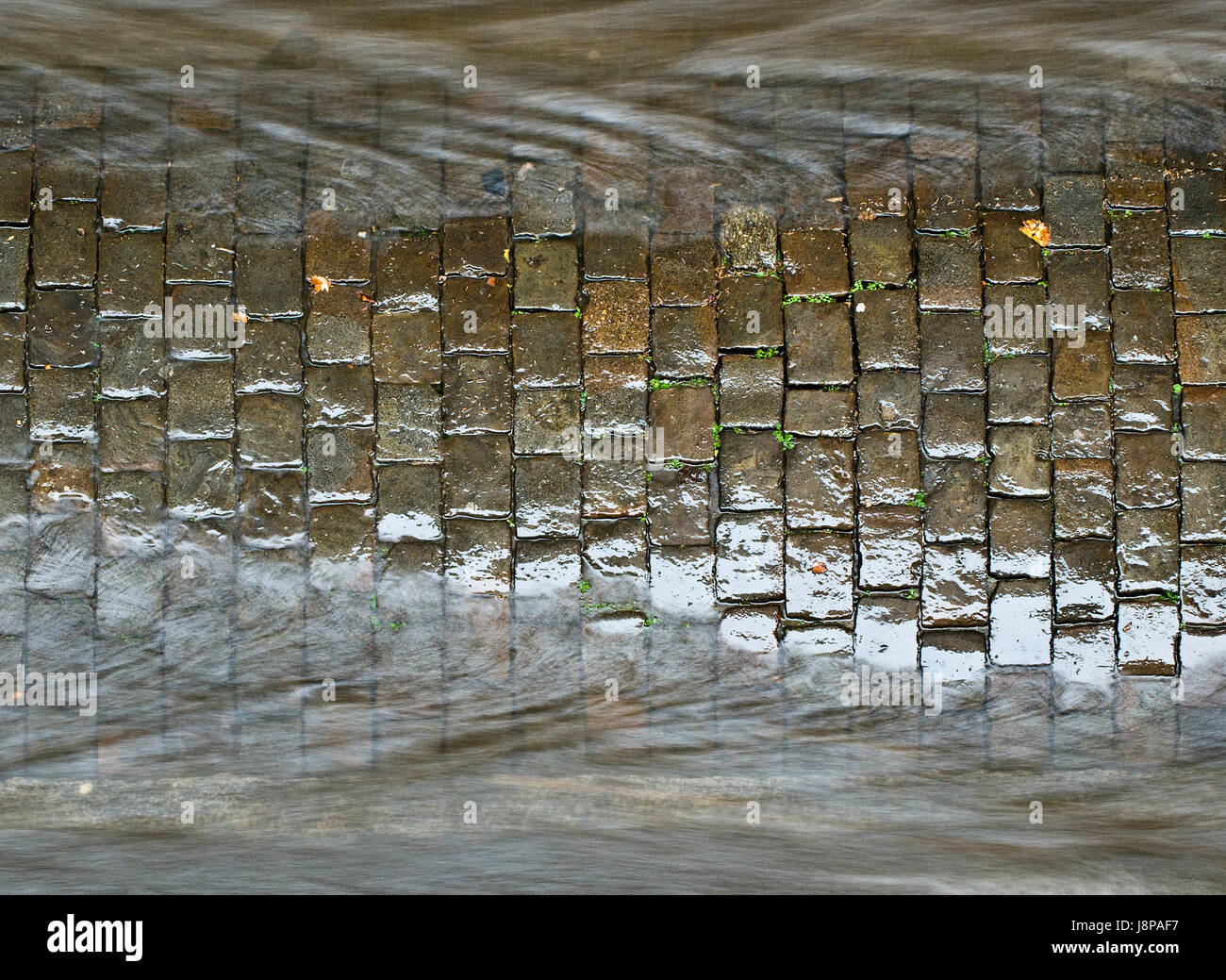 rainy, street, road, cobbles, wet cobbles, cobbled street, cobbles, wet ...