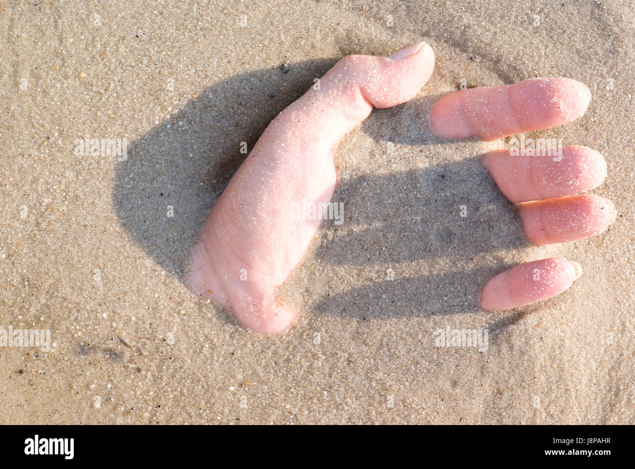 hand, beach, seaside, the beach, seashore, buried, palm, sands, sand ...