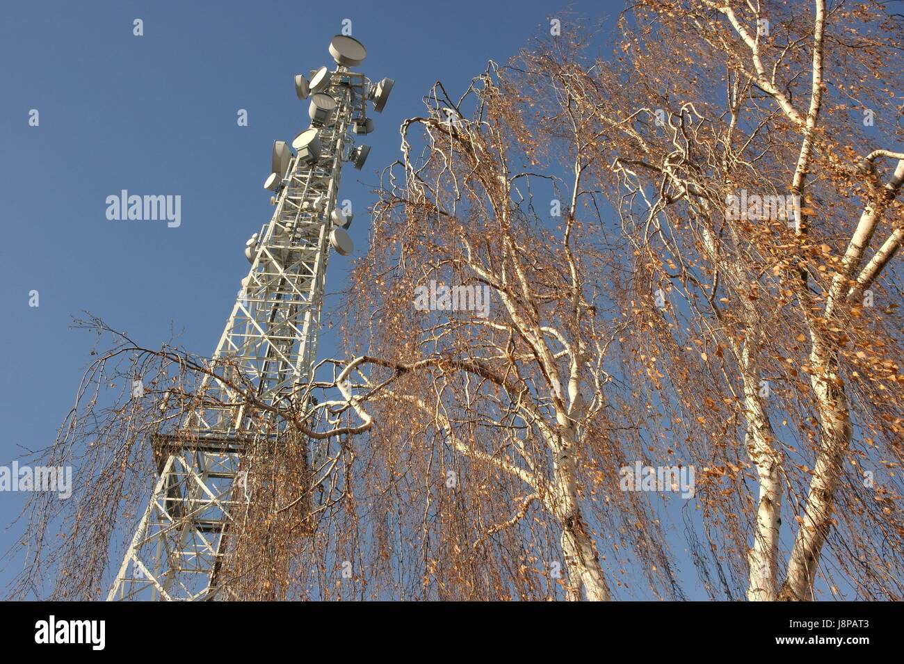 antenna, mast, mobile, cellular, telecom, communication, antenna, radio ...