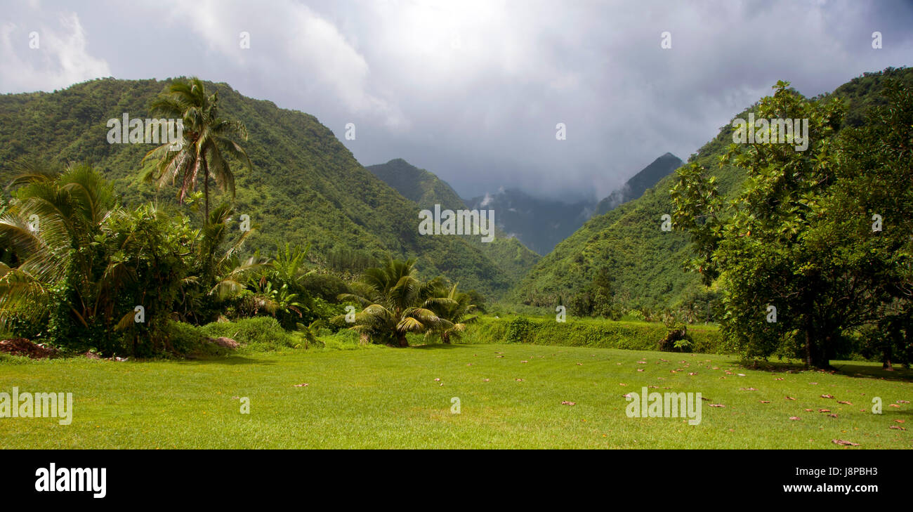 beautiful, beauteously, nice, heaven, paradise, palm, landscape ...