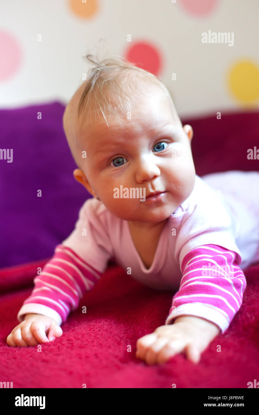 face, small, tiny, little, short, baby, delighted, unambitious ...