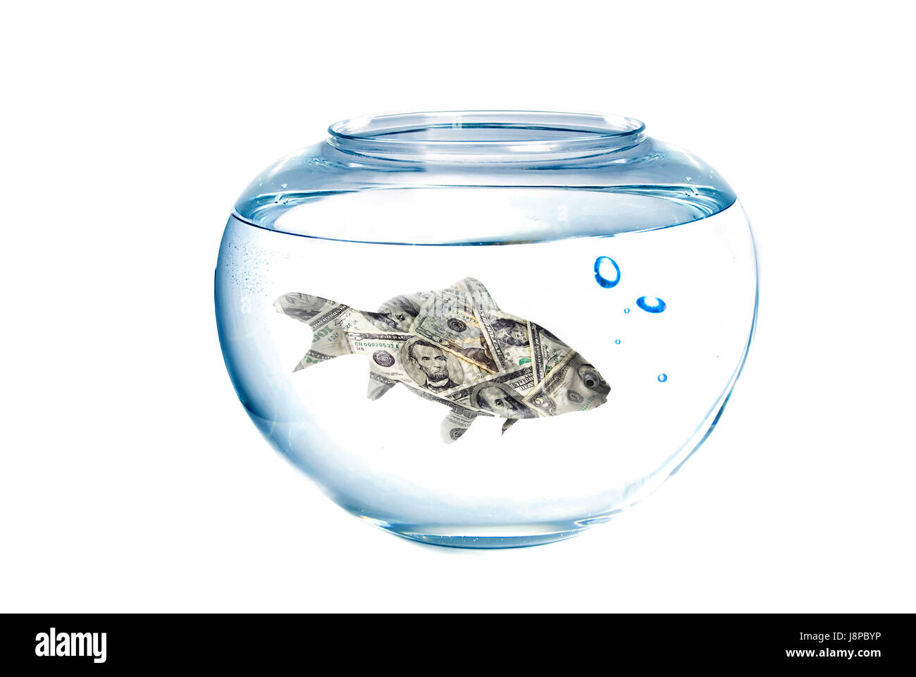 Dollar fish in aquarium Cut Out Stock Images & Pictures - Alamy