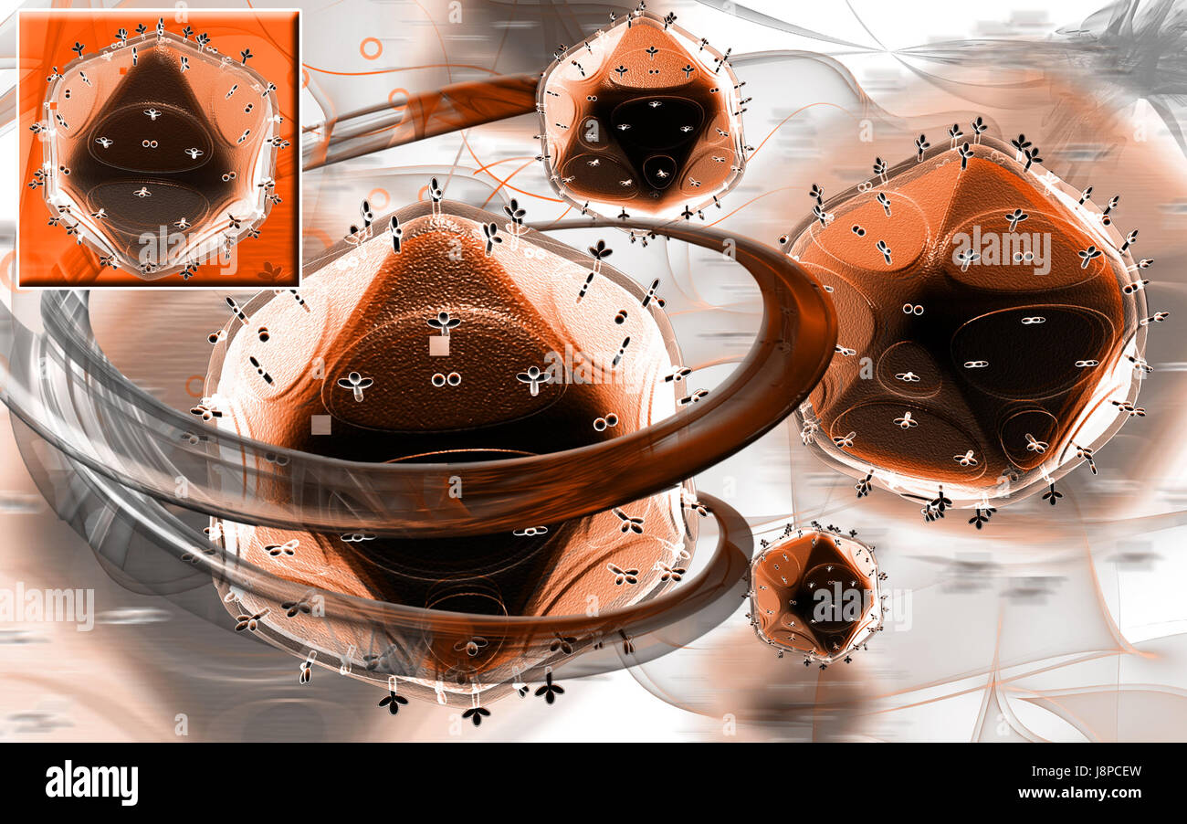 education, medicinally, medical, graphics, colour, science, brown ...