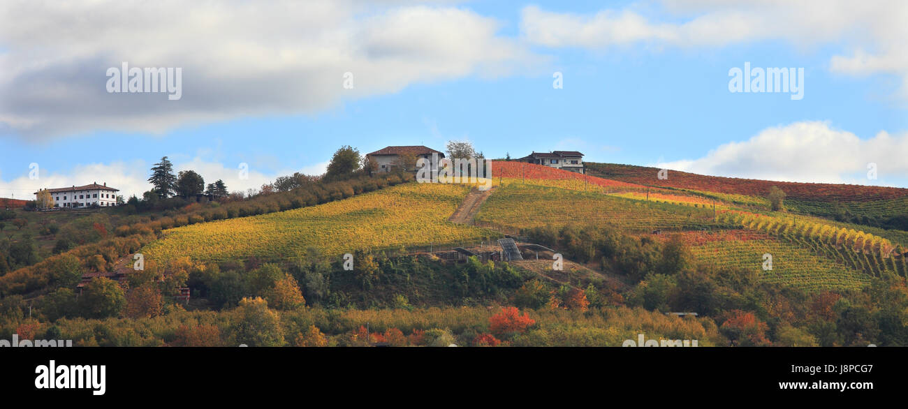 vineyard, sight, view, outlook, perspective, vista, panorama, lookout ...