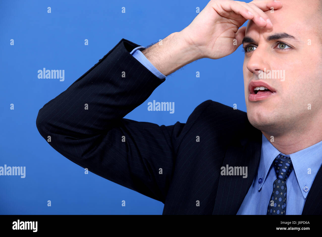 blue, adult, leader, captain, chieftain, chief, boss, manager, superior ...