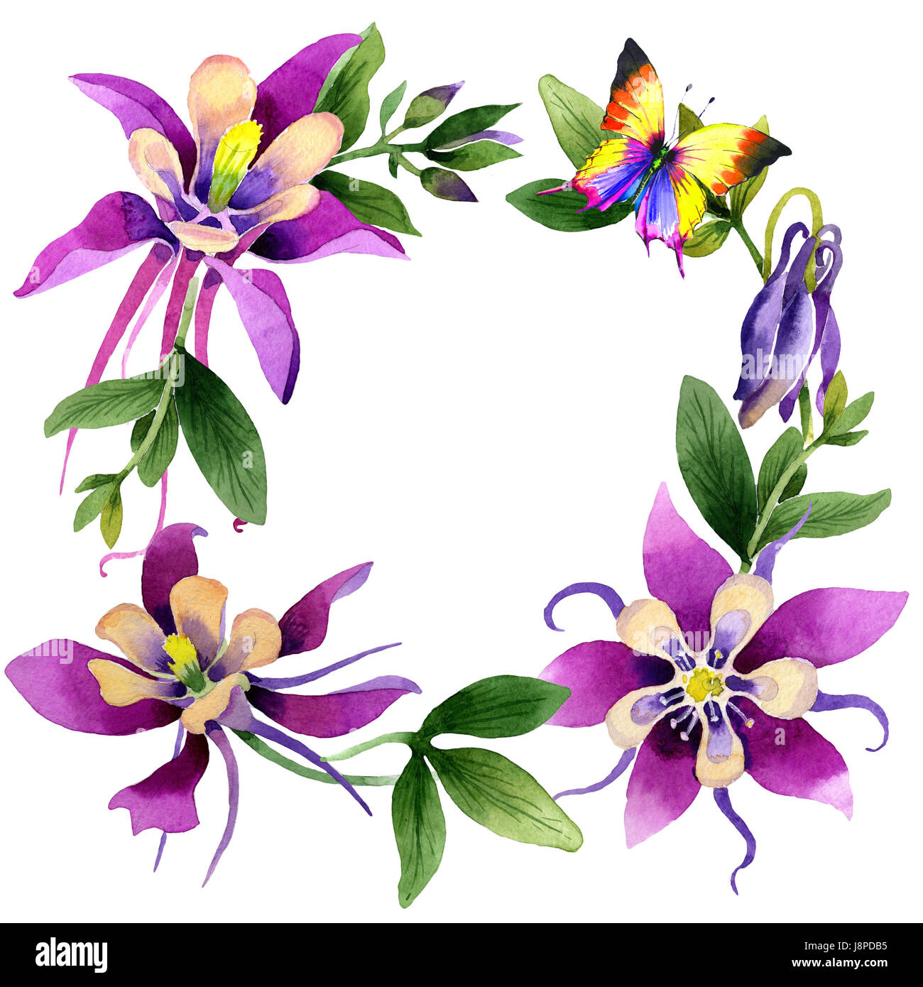 Wildflower orchid flower frame in a watercolor style isolated Stock ...