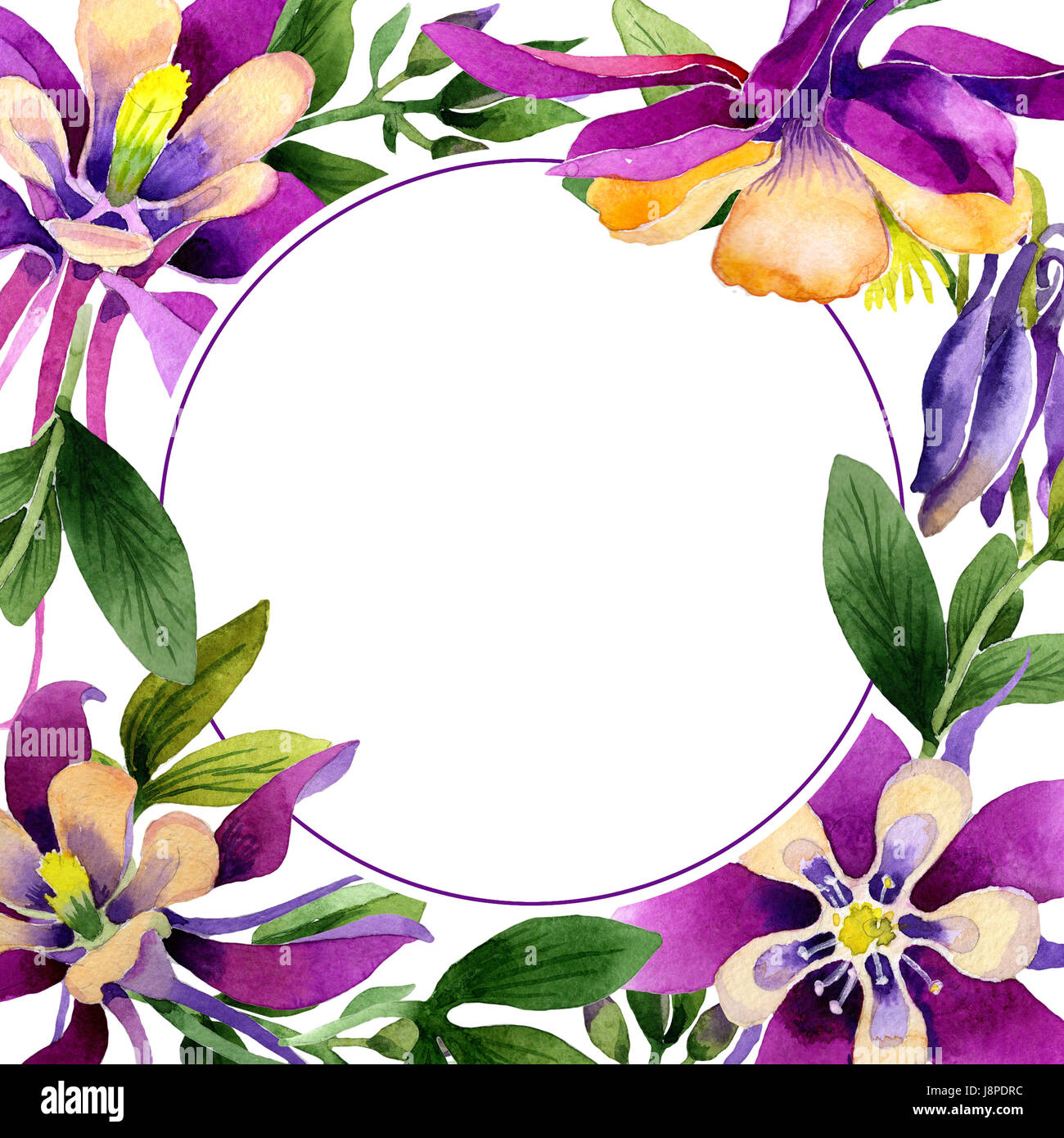Wildflower orchid flower frame in a watercolor style isolated Stock ...