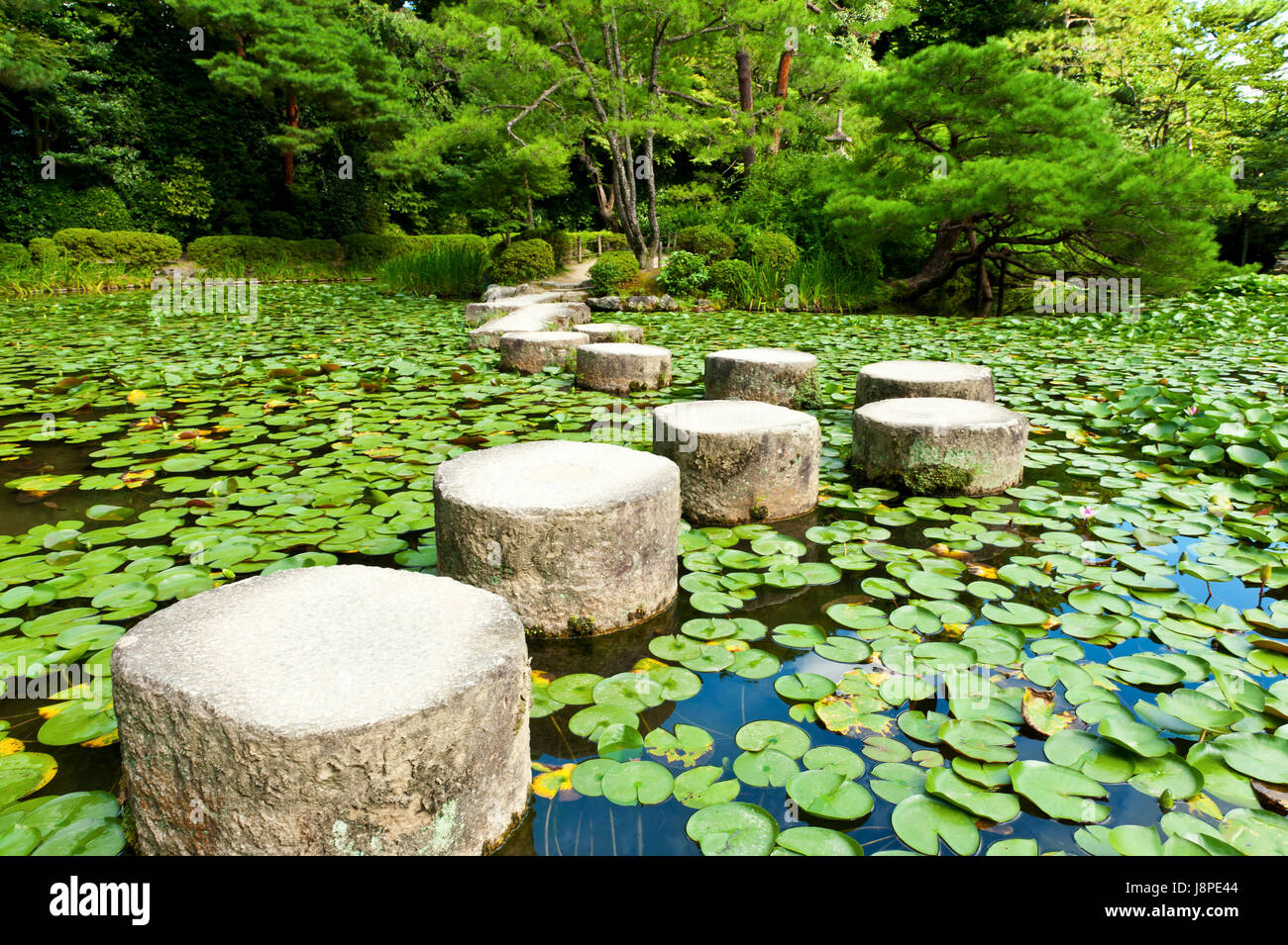 garden, stone, path, way, zen, walk, go, going, walking, shine, shines ...