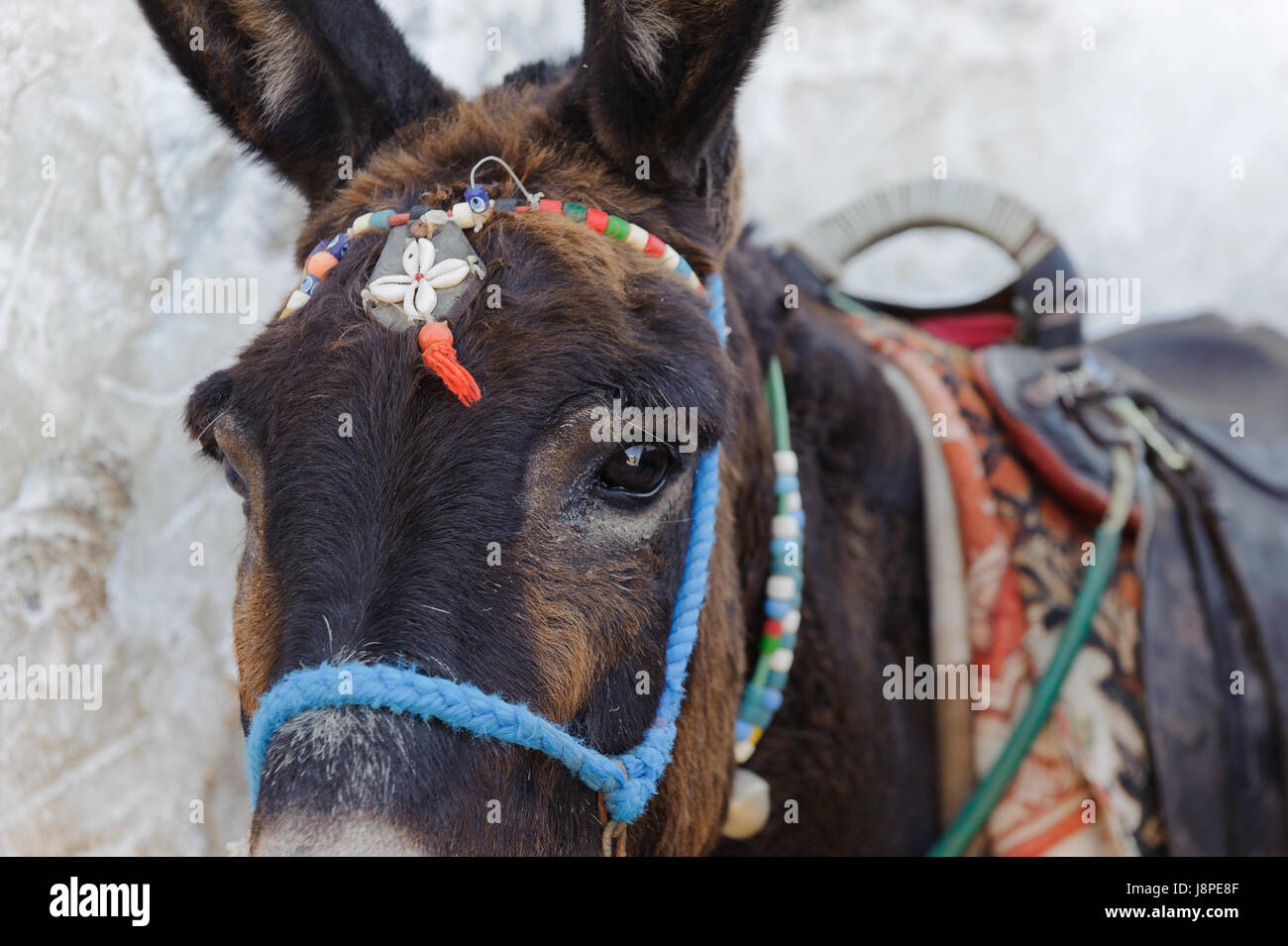 end of a workday Stock Photo - Alamy