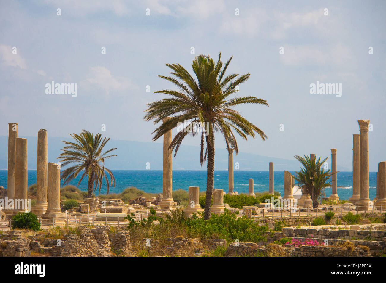 The ancient site of Tyre (Sour) overlooking the sea Stock Photo - Alamy