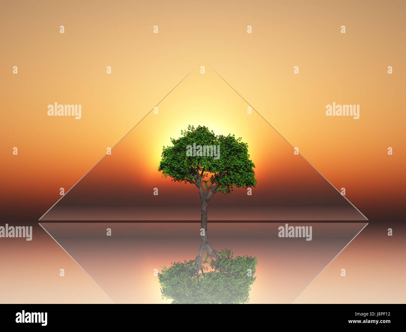 Triangular Shaped Tree High Resolution Stock Photography and Images - Alamy