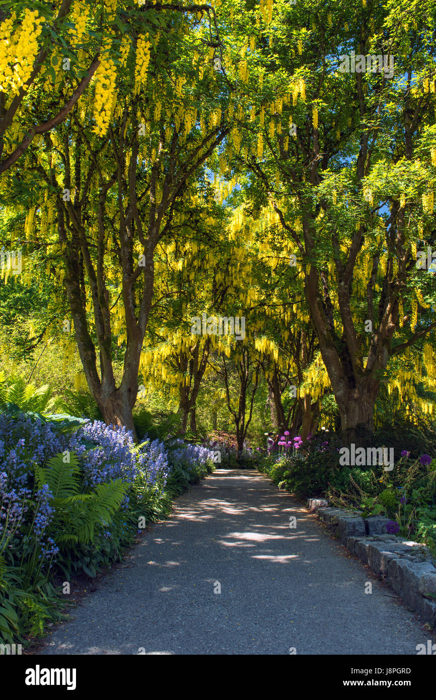 Pending flowers hi-res stock photography and images - Alamy