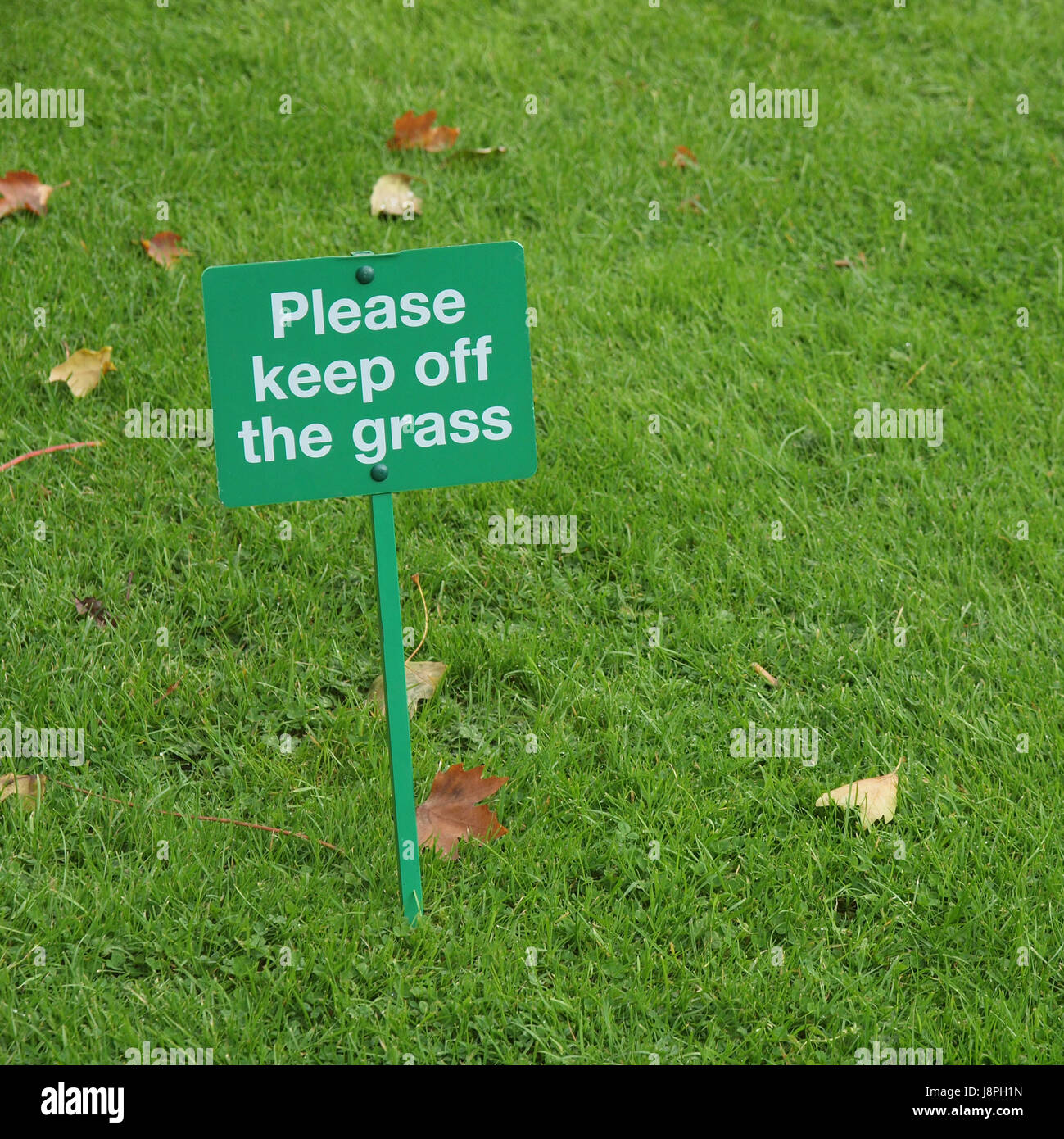 keep, warning, sign, please, off, meadow, grass, lawn, green ...
