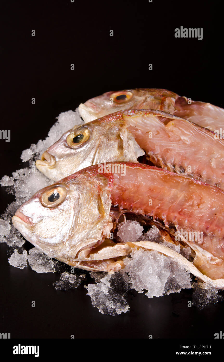 food, aliment, angle, fish, dish, meal, salt water, sea, ocean, water ...