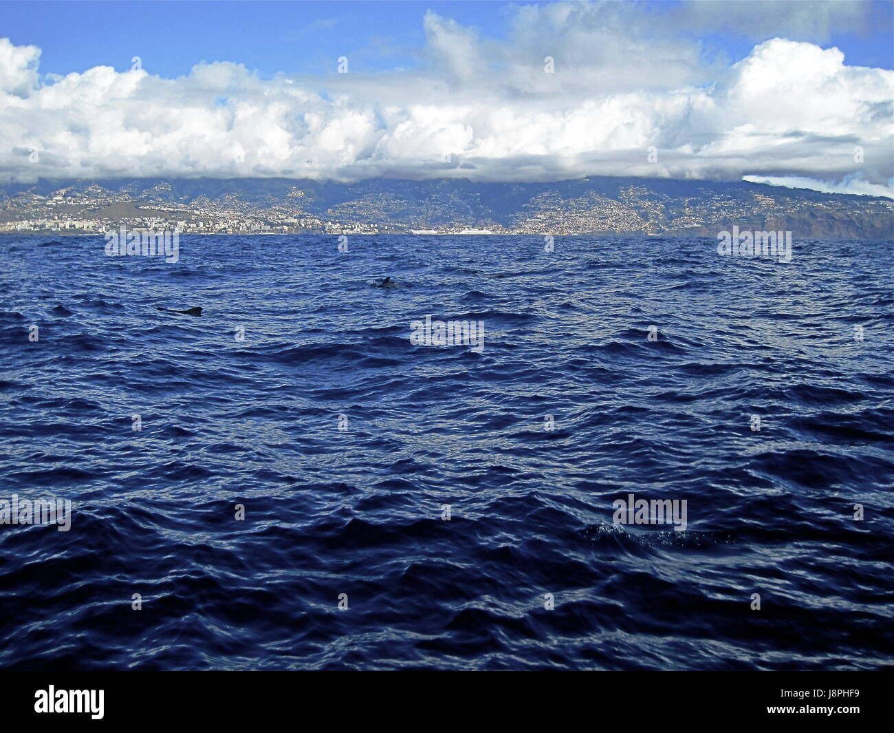 blue, beach, seaside, the beach, seashore, coast, salt water, sea ...
