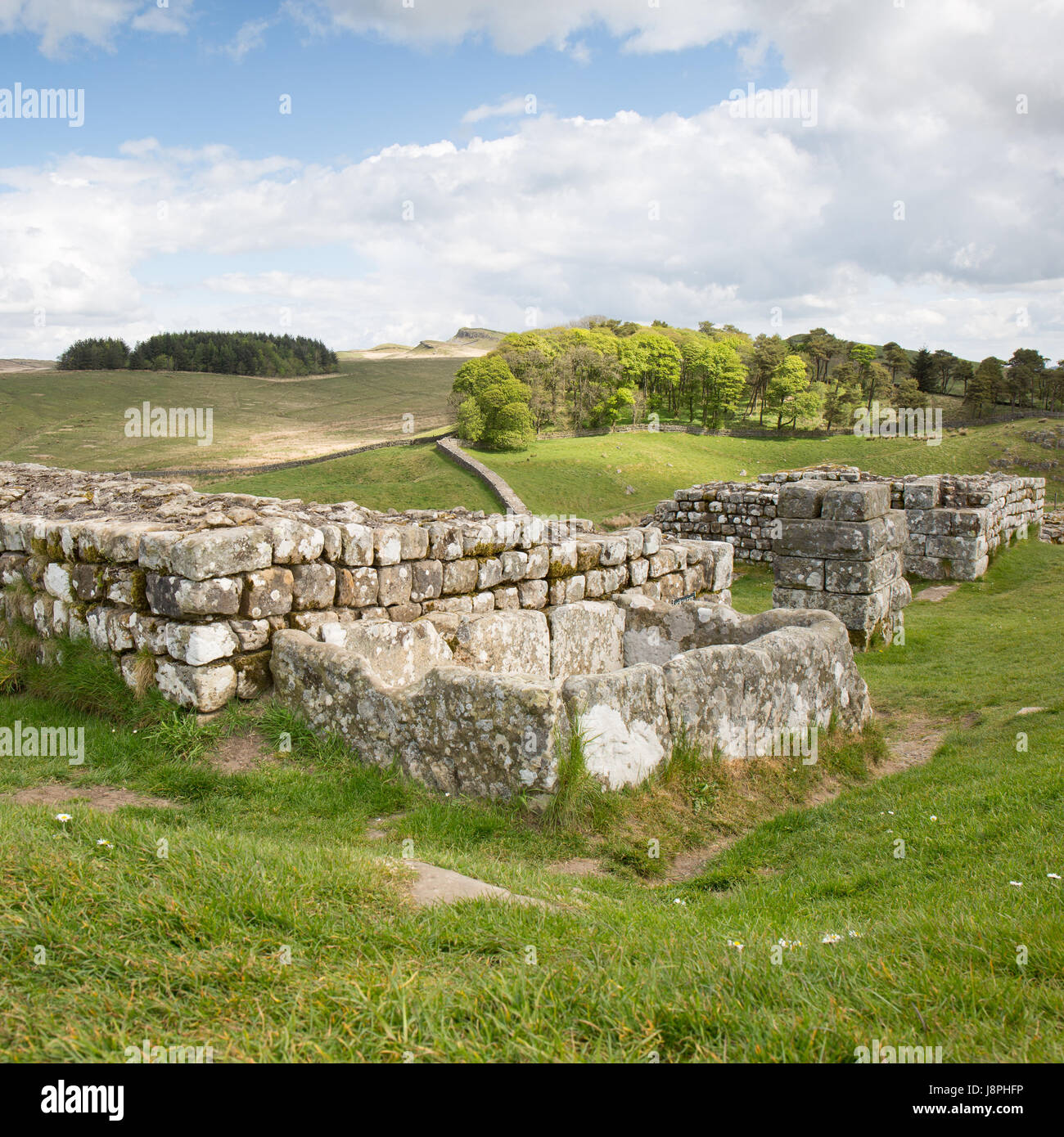 National trust hadrians wall hi-res stock photography and images - Alamy