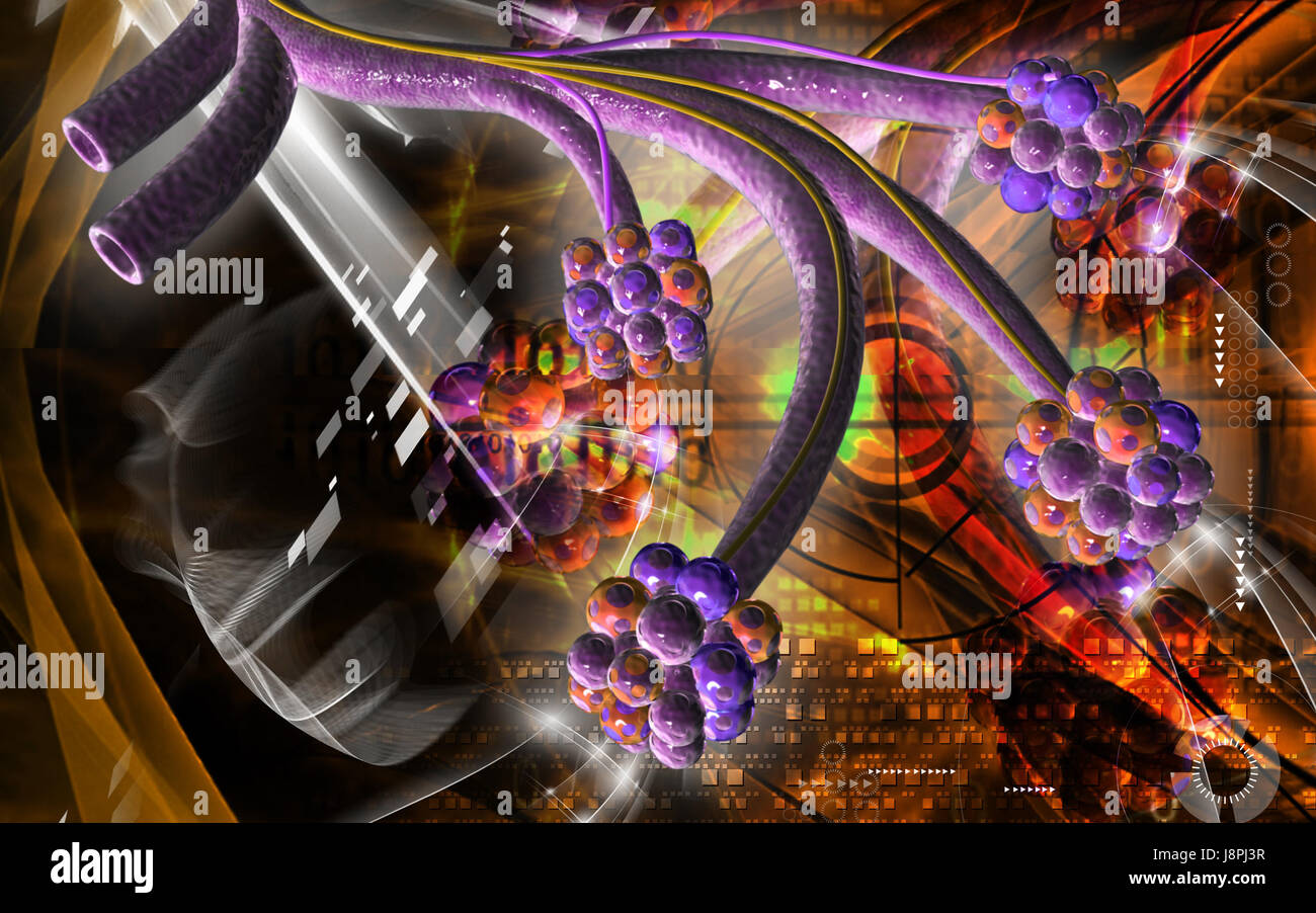 education, health, medicinally, medical, graphics, colour, science ...