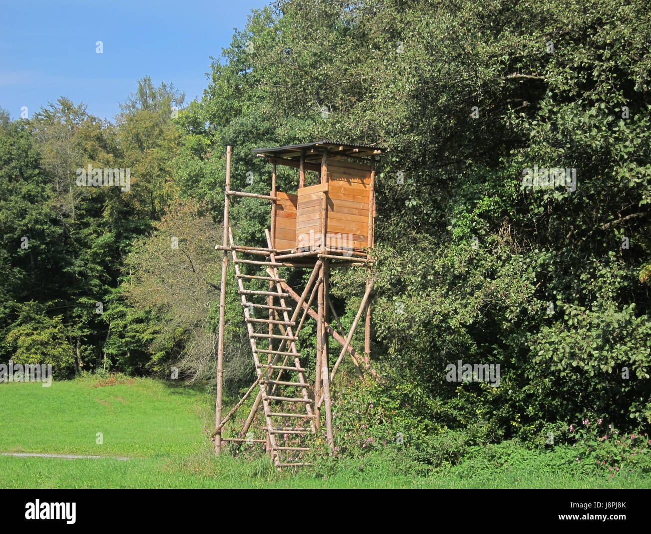wild, hesse, deerstand, ladder, scenery, countryside, nature, hunting ...