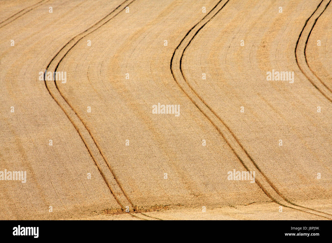 aerial perspective, agriculture, farming, field, grain field, nature ...