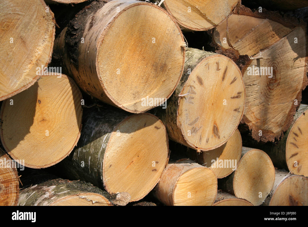 wood, tribes, raw material, firewood, strength, force, shine, shines ...