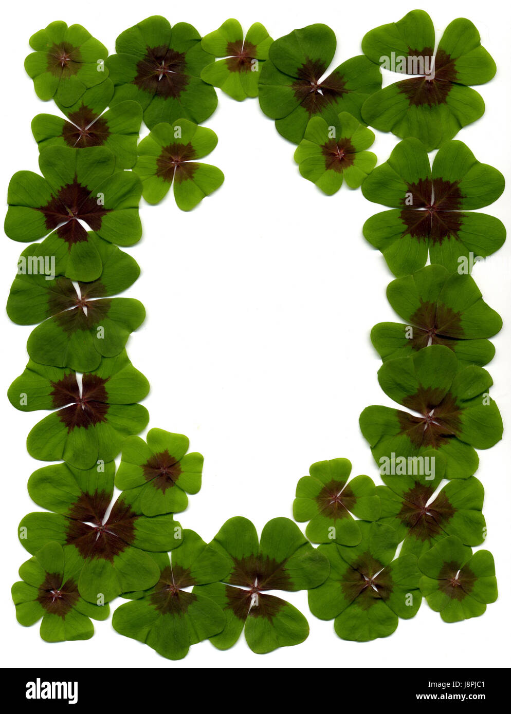 clover, cloverleaf, pictogram, symbol, pictograph, trade symbol, lucky ...