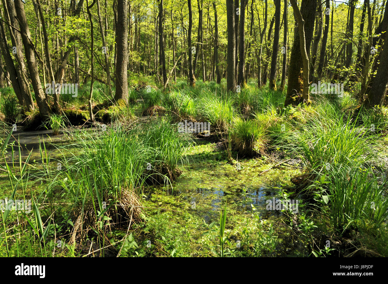Dar_er hi-res stock photography and images - Alamy