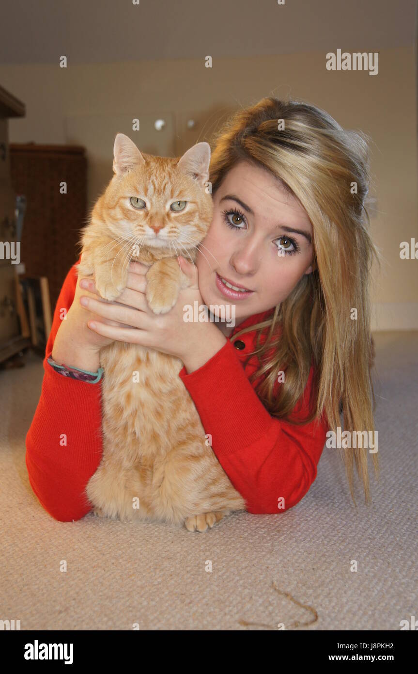 pet, cuddle, affection, ginger, feline, pussycat, cat, domestic cat ...