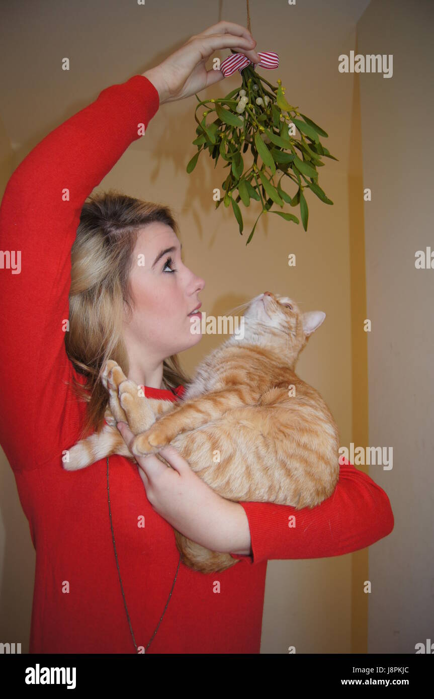 holiday, vacation, holidays, vacations, kiss, christmas, yule ...