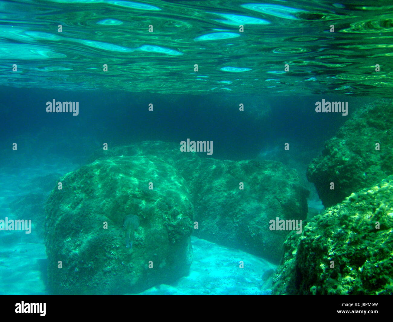 underwater, salt water, sea, ocean, water, blue, green, underwater, wet ...