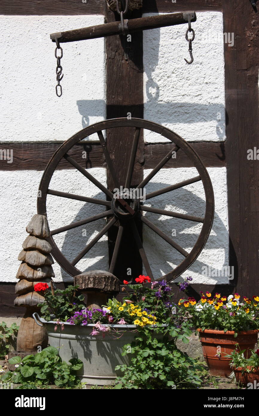 still life, flower, flowers, plant, frame-work, rural, peasant, still ...