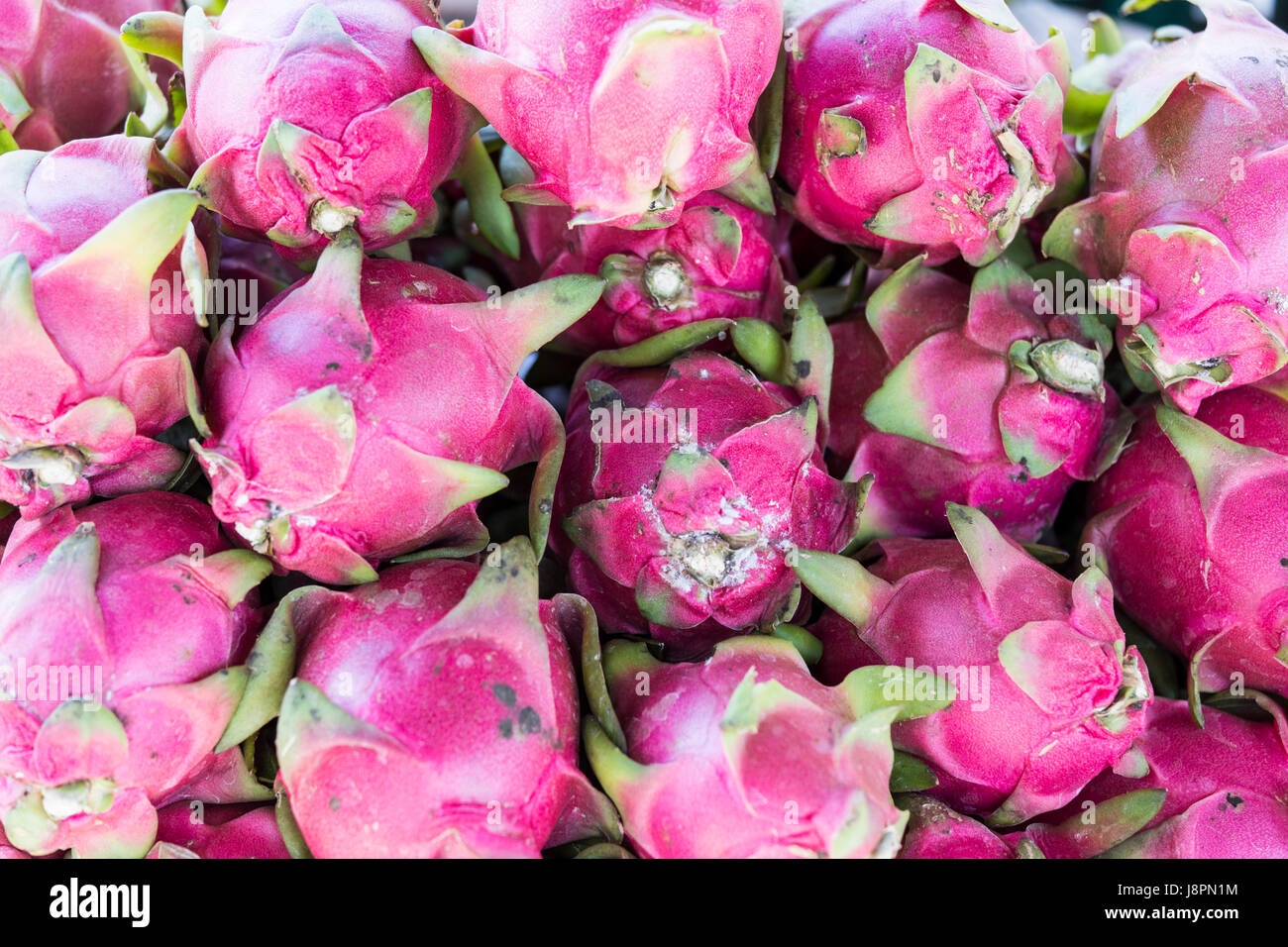 Dragonfruit background close up, Asia Stock Photo - Alamy