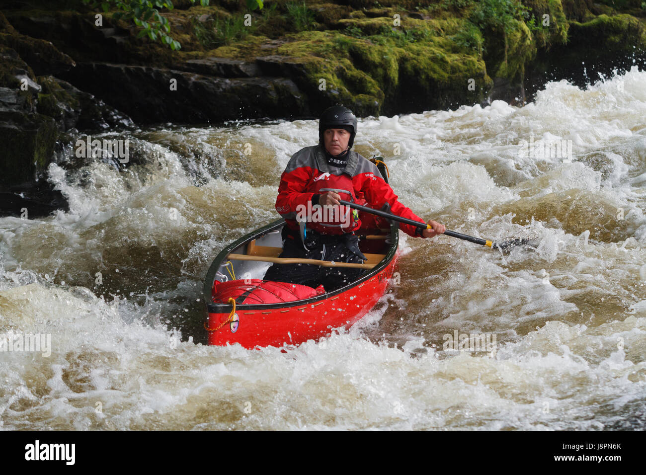 Male canoeist in a Canadian open canoe shooting the rapids at the ...