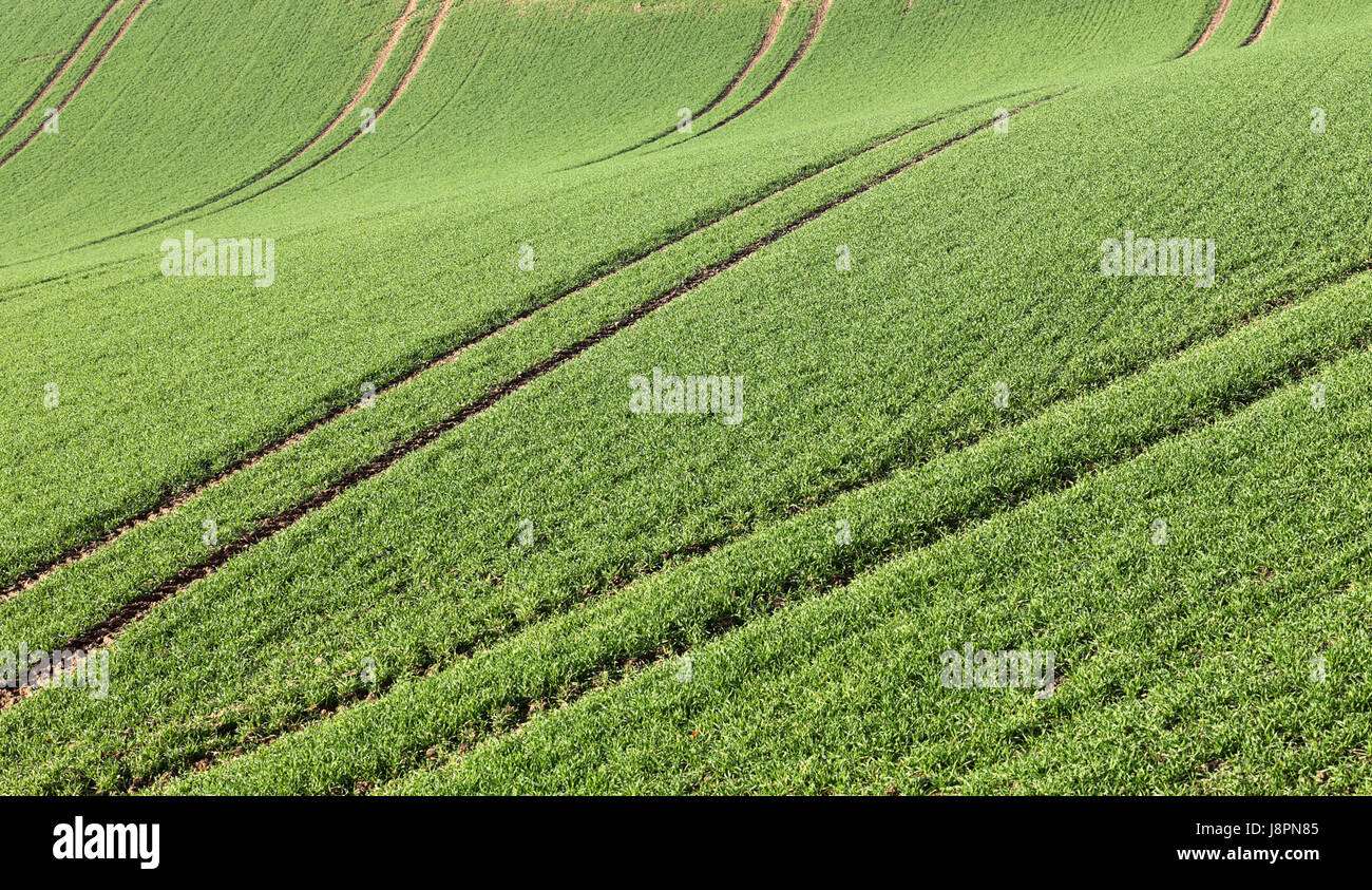 Feldlinie hi-res stock photography and images - Alamy