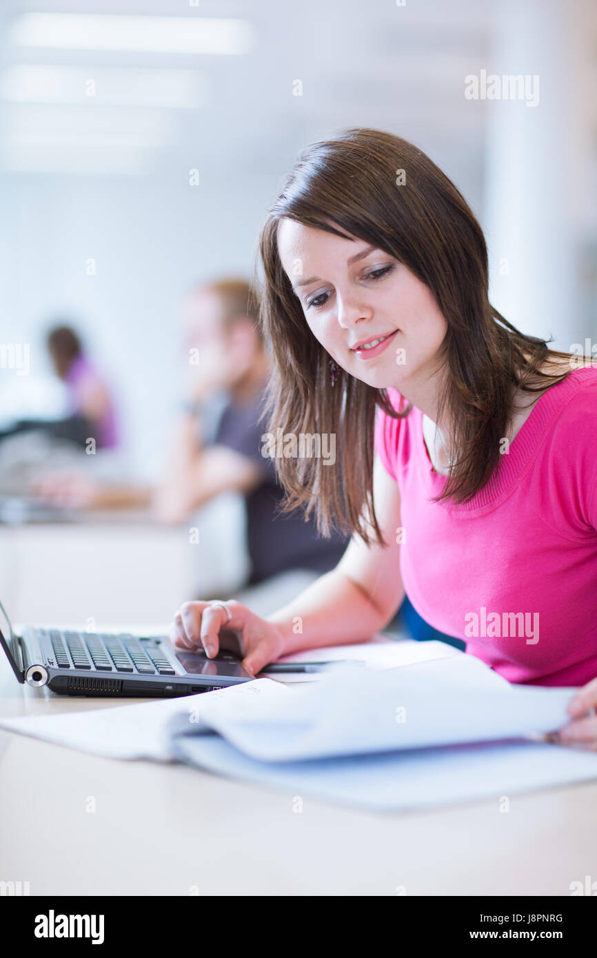 study, books, library, student, university, educational institution ...