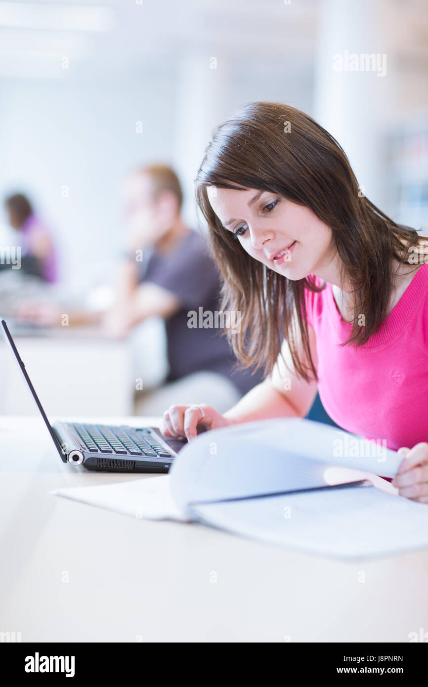 study, books, library, student, university, educational institution ...