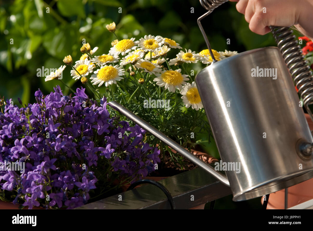 Gaertner hi-res stock photography and images - Alamy