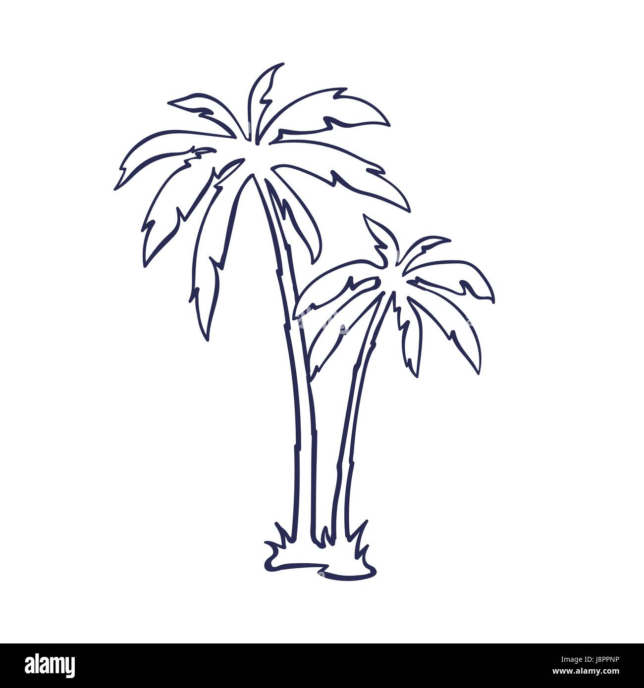 Coco palm trees Stock Vector Images - Alamy