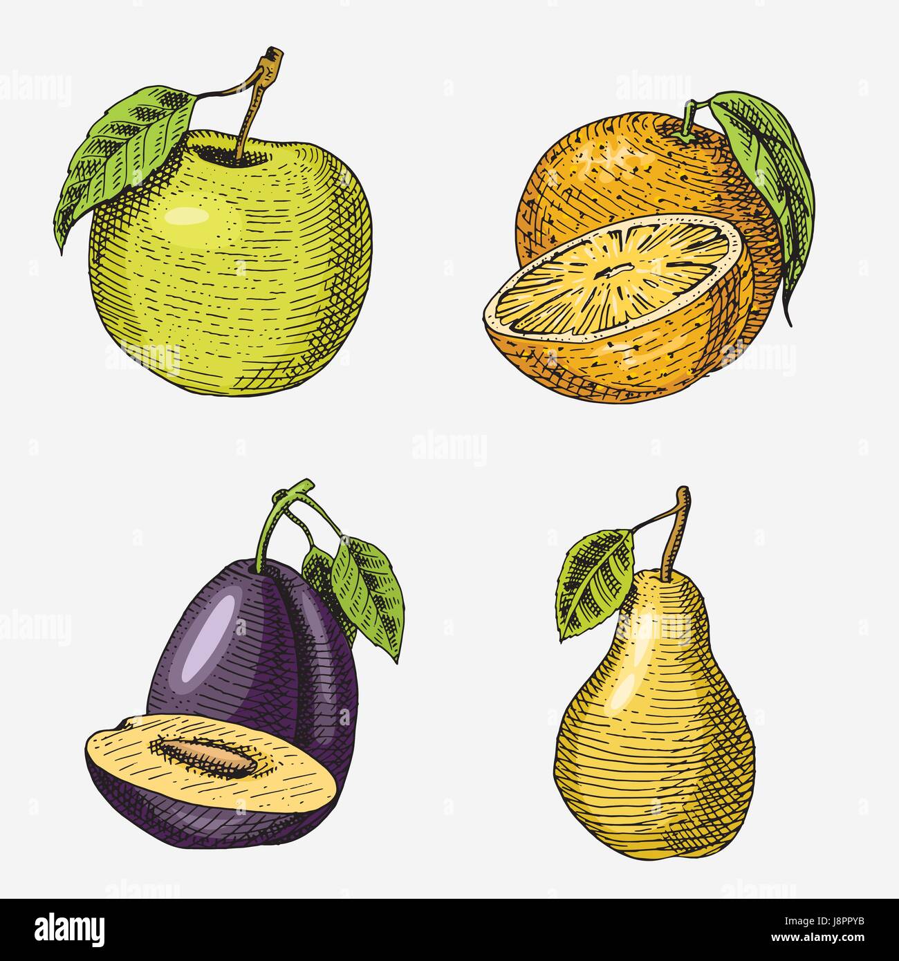 set of hand drawn, engraved fresh fruits, vegetarian food, plants ...