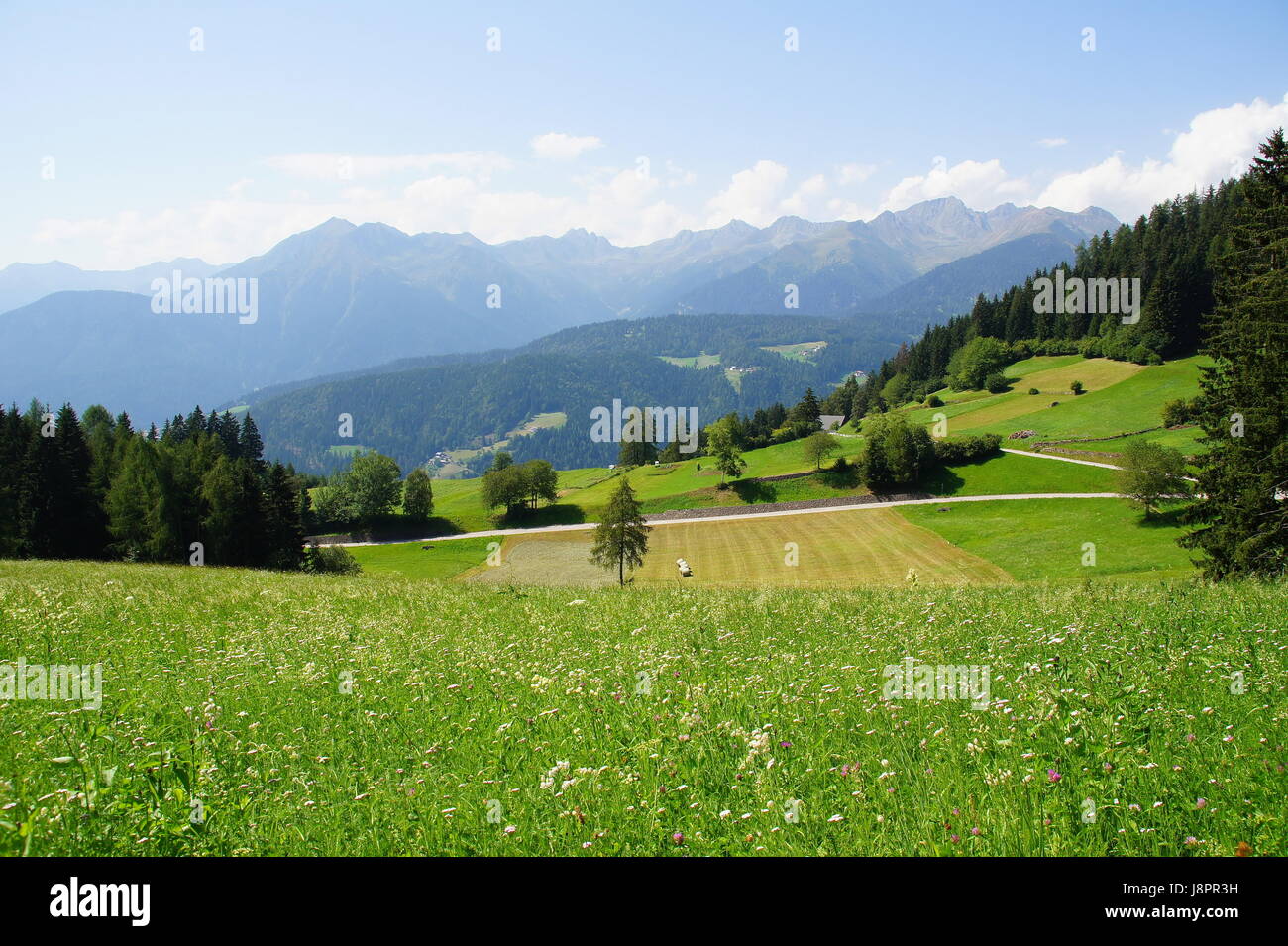 south tyrol, yoke, scenery, countryside, nature, mountains, green, alps ...